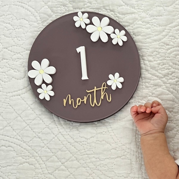 Acrylic Baby Milestone Marker, Baby Milestone Discs, Interchangeable ...