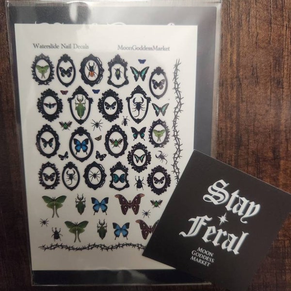 Taxidermy Mounted Beetles Butterflies Bugs Gothic Frames Goth Nail ...