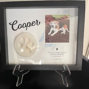 Pet Memorial Paw Print Holder Shadow Box Two Paw Prints Pet - Etsy