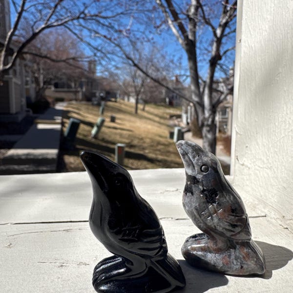 Natural Obsidian Crow Figurine Hand Carved Miniature Stone Animal ...