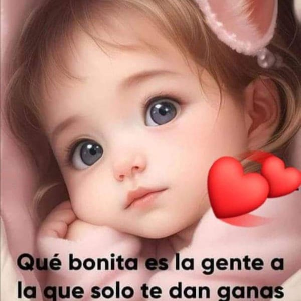 10 SWEETBAY MAGNOLIA Virginiana TREE Shrub Native Sweet Bay, White Bay ...