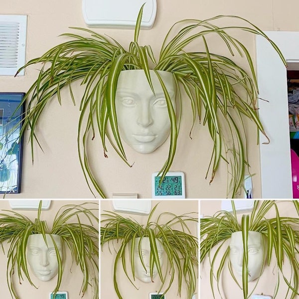 Skull Wall Planter STL FILE, Stl File for 3D Printer, Head Planter With ...