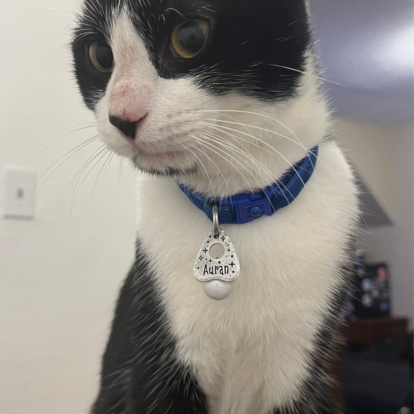 Soft Velvet Cat Collar - Royal Blue - Kitten or Large Size - Breakaway ...