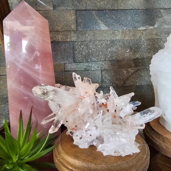 World Class Lemurian Master Quartz From Pena Blancas/exceptional and ...