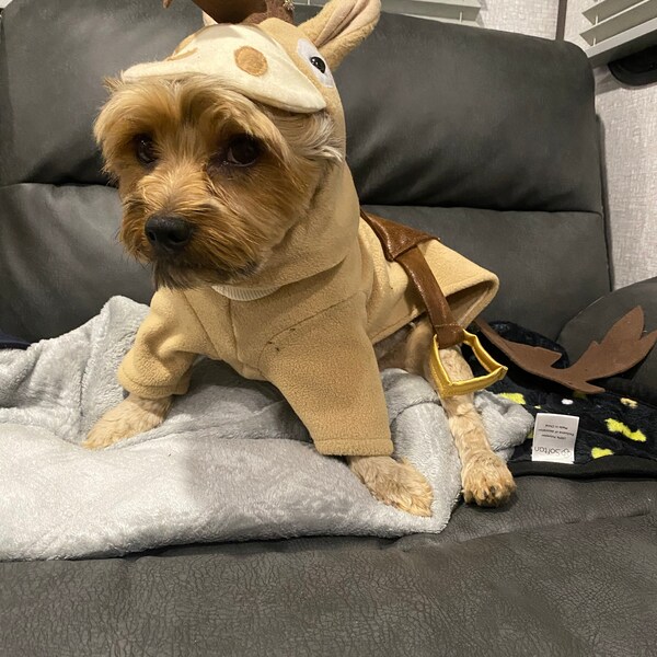 Bullseye Dog Costume: Toy Story Inspired Horse Outfit - Etsy