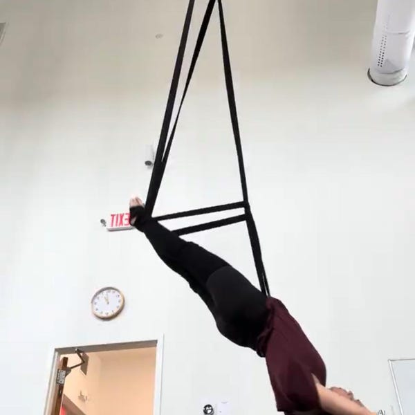 Aerial Trapeze Static, Circus Trapeze Static, Home Acrobatic Props ...