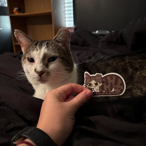 Personalized Cat Stickers - Hand Drawn | Custom Pet Stickers, Cat ...