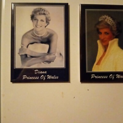 Refrigerator Magnet Princess Diana 1 - Etsy
