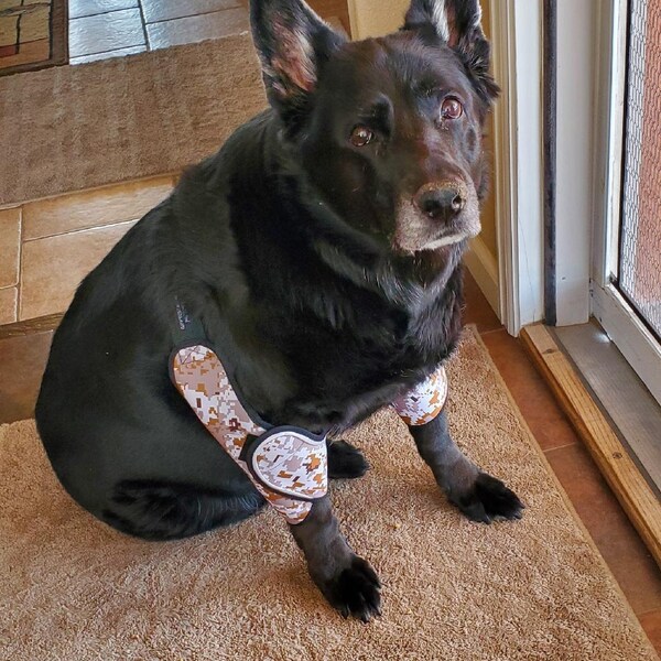 Adjustable K-9 Elbow Callus Pressure Sores Reflective Dog Elbow ...