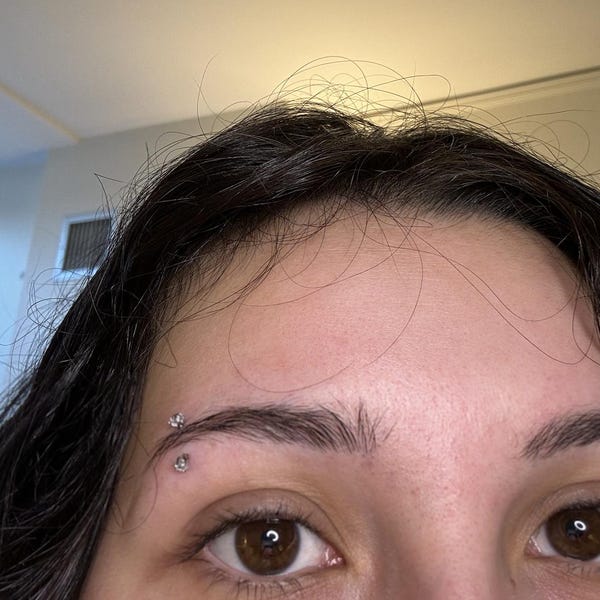 16g ASTM F136 Grade 23 Titanium Internal Thread Spider Web Halloween ...