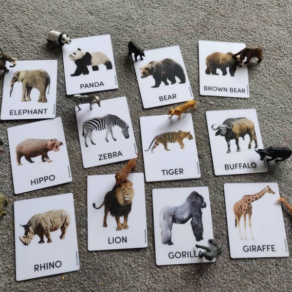 Wild Animals Montessori 3 Part Cards Montessori Home School Educational ...