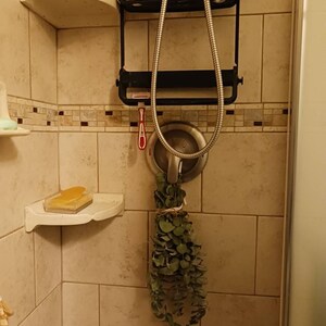 Semi Dried EUCALYPTUS Shower Bundle Natural Remedy Spa Aroma Home Decor ...