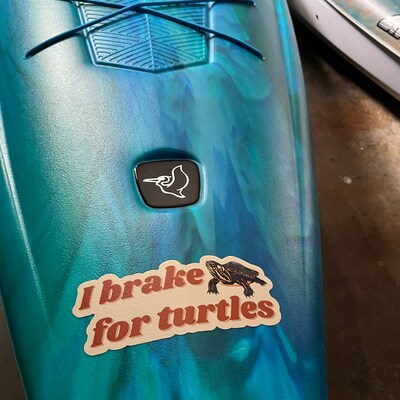 Common Loon Print Common Loon Painting Common Loon Art - Etsy