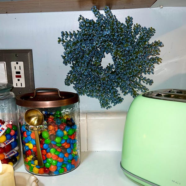 Lighted Willow Twigs Bush 60 Count Teeny Clear Soft White Bulbs, Brown ...