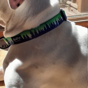 Treeline Dog Collar Trees Forest Nature Outdoors - Etsy