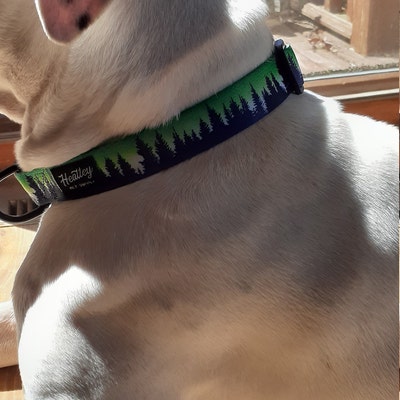 Treeline Dog Collar Trees Forest Nature Outdoors - Etsy