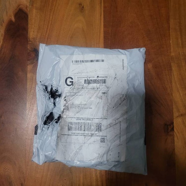 Custom Mascot Shirt, School Team Shirt, Team Mascot Tshirt, School ...