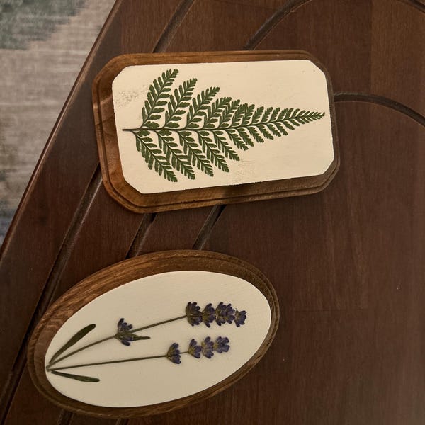 Mini Forest Fern Wall Art Botanical Fern Wall Hanging Pressed Floral ...