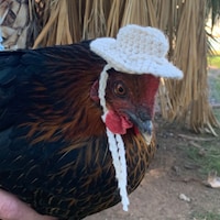 Crochet Pattern Cowboy Hat Chicken Hat Crochet Pattern Hat for Chicken ...