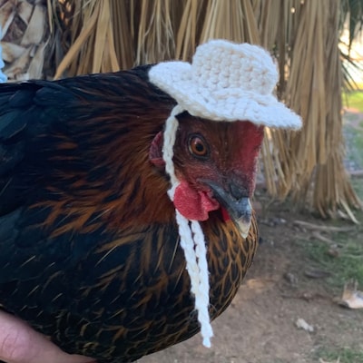 Crochet Pattern Cowboy Hat Chicken Hat Crochet Pattern Hat for Chicken ...