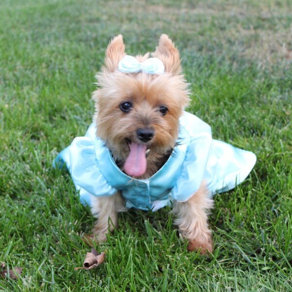 Dog Blue Princess Dress, Princess Blue Dress for Dogs, Halloween ...