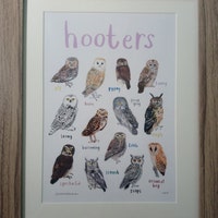 Hooters Art Print - A4 - Etsy UK