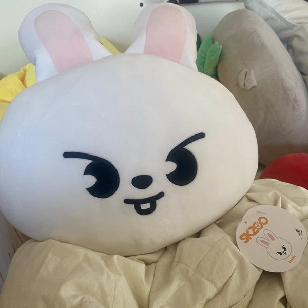 Skzoo Mini Plush Official - Etsy