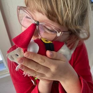 Elf Costume, Pet Costume for Rats, Santa Helper Rat Available in Red or ...