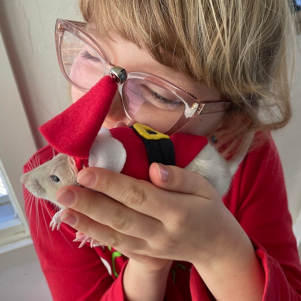 Elf Costume, Pet Costume for Rats, Santa Helper Rat - Available in Red ...