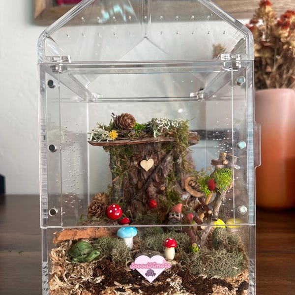 Large Spooky Jumping Spider Enclosure - Etsy