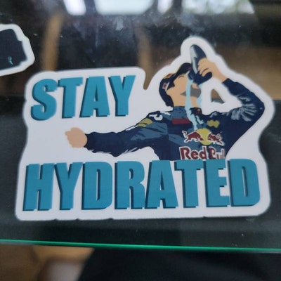 Mercedes F1 Vinyl Sticker - Etsy