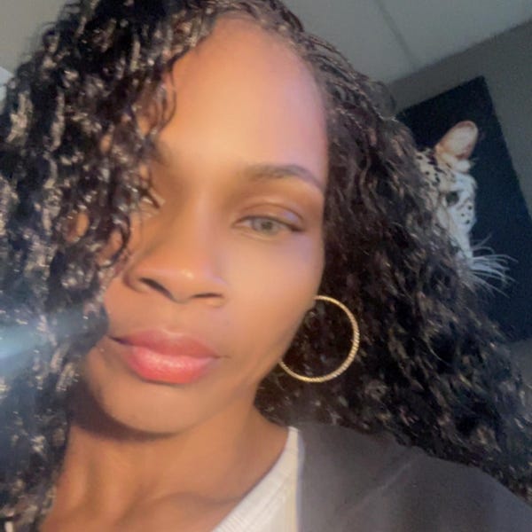 Full Head Prelooped Crochet Mini Twists Ombre Micro Twists. Handmade ...