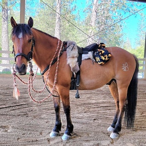 Giant Horse Skin Hide Real Natural Area Rug Living Room - Etsy