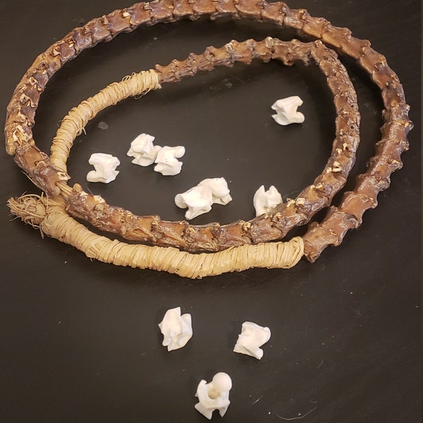Real White Snake Vertebrae Beads – Natural Bone Beads, 10 Loose Pieces ...