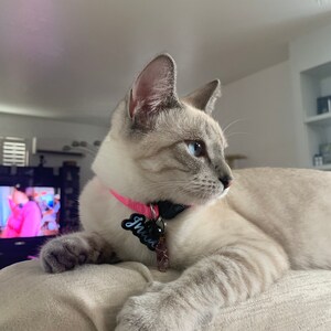 Raw, Natural Crystal Key Chains/pet Collar Charms You Choose the ...