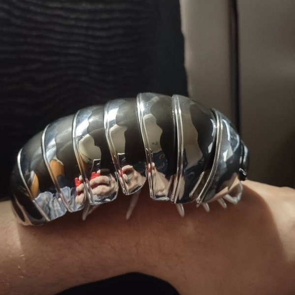 Dangomushi - Isopod, Woodlouse, Pillbug Figures! Various Options, Japanese Exclusives. - Etsy