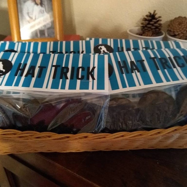 Hat Trick Bag Hockey Birthday Party Treat Topper Bags Pittsburgh ...