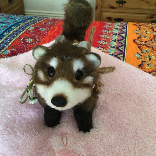Coati ,(is Possible Repeat to Order) Teddy, Author's Work, Toy - Etsy