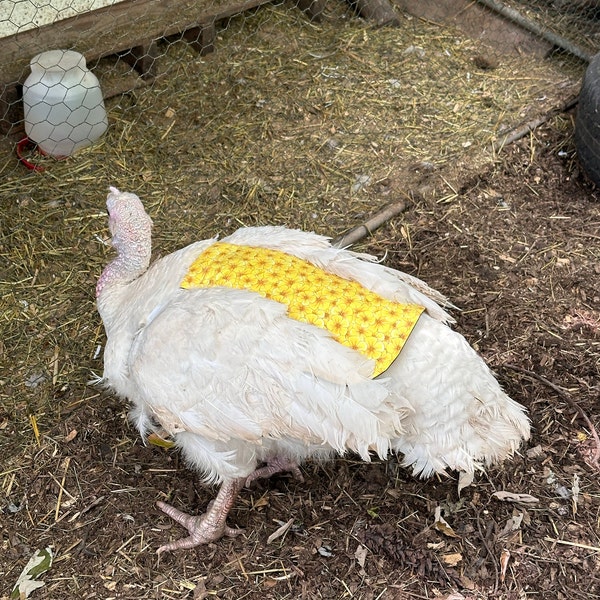 XL Turkey Saddle/apron Sturdy Small Broad Breasted Denim Backed - Etsy