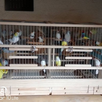 Large Rectangular Bird Cage Full Handmade / Wood Bird Cage / Decorative ...