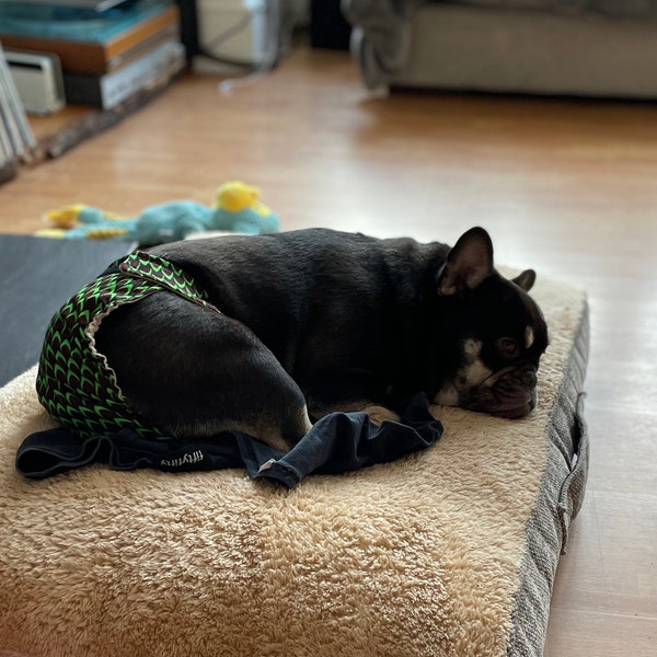 Dog Diaper Sewing Pattern: 6 Sizes, Bandana & Belly Band (PDF Pattern ...