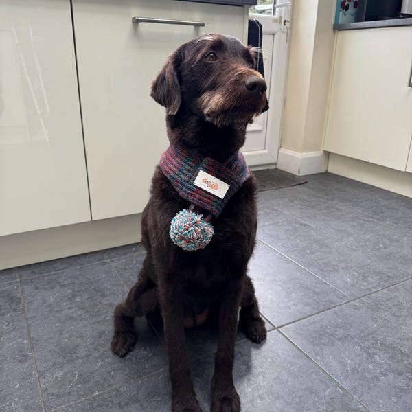 Tiger Coaster 100% Wool, Felted Coaster With Designs, Water Absorbent ...