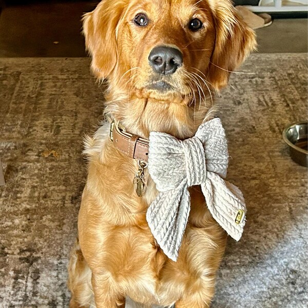 Wren Snap on Dog Bandana, Fall Dog Bandana, Autumn Dog Bandana, Ruffle ...