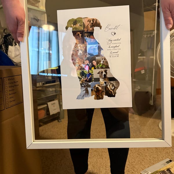 Staffordshire Bull Terrier Photo Collage Print: Staffy Memorial Gift - Etsy