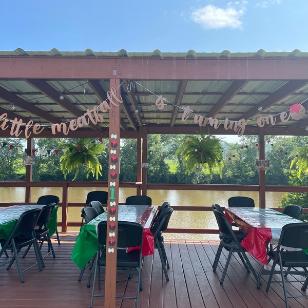 Meatball First Birthday Decorations - Little Meatball Backdrop - 3rd ...