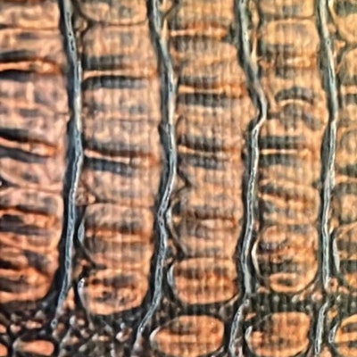 William Morris Snake Head Wedge Placemats for Round Table Tactile ...