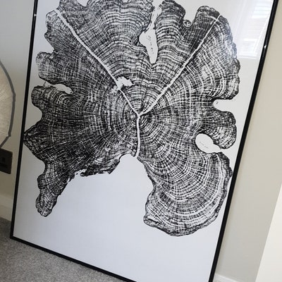 Western Red Cedar, Tree Ring Print, Black and White Tree Ring Print ...