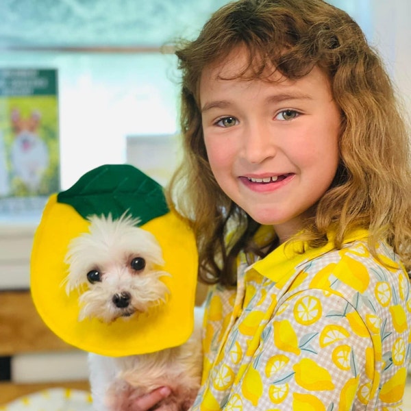 Lemon Pet Costume for Cats Small Dogs and Other Pets in Soft Yellow ...