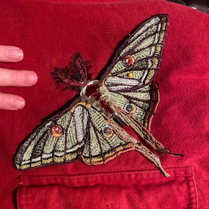 Moks256p Dandelion Embroidered Patch Flower Patch | Etsy