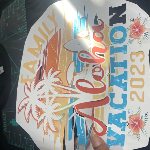 Custom Family Reunion DTF Transfer, Ain't No Family Like I Got ...